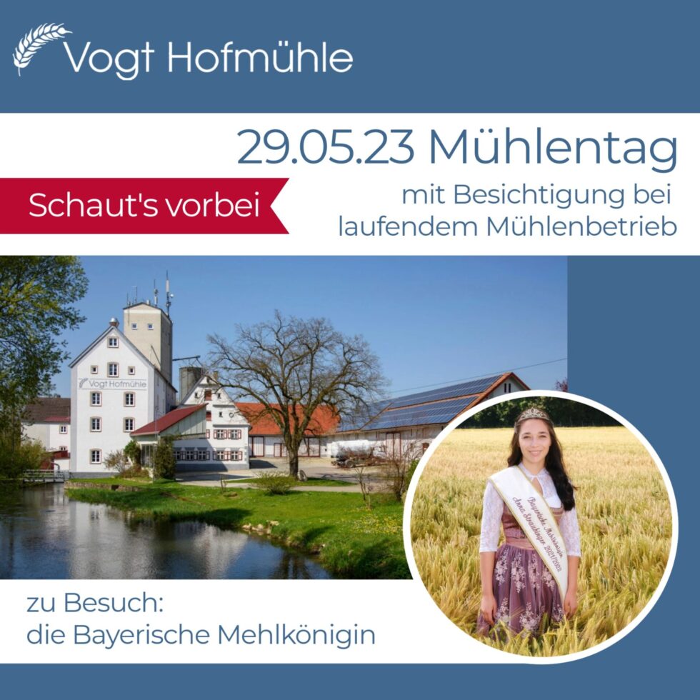 Mühlentag 2023 am Pfingstmontag | Vogt Hofmühle in Steinheim